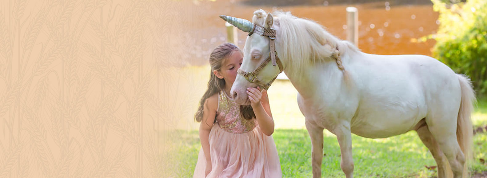 Hidden Pasture Unicorn Farm – It's A Real Life Unicorn Farm®